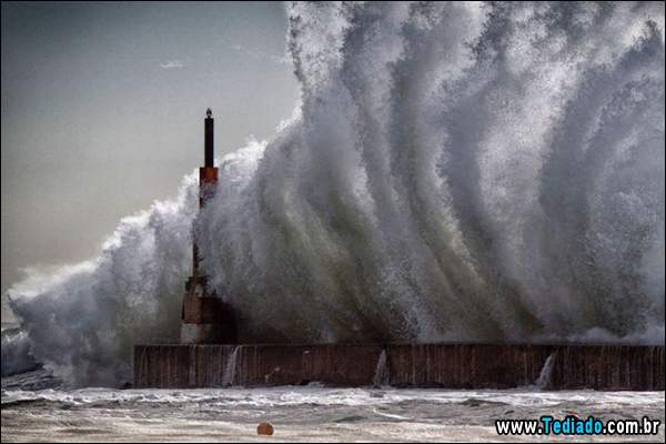 29 fotos interessantes (29 fotos) - Tediado