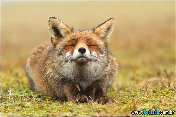 29 fotos interessantes (29 fotos) - Tediado