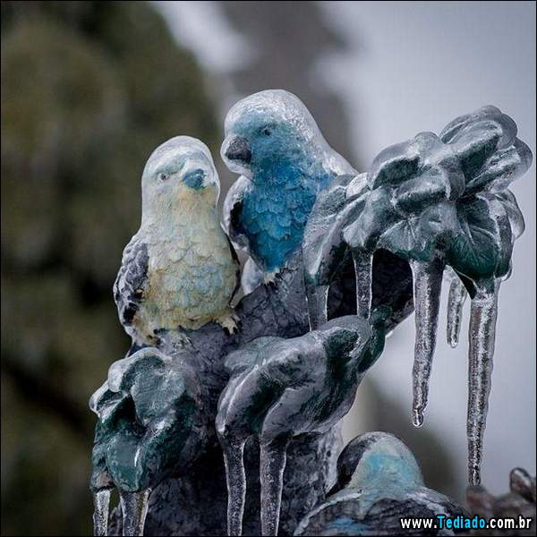 29 fotos interessantes (29 fotos) - Tediado