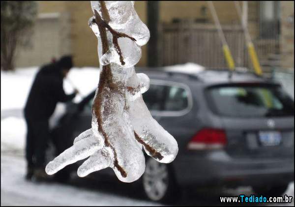 29 fotos interessantes (29 fotos) - Tediado