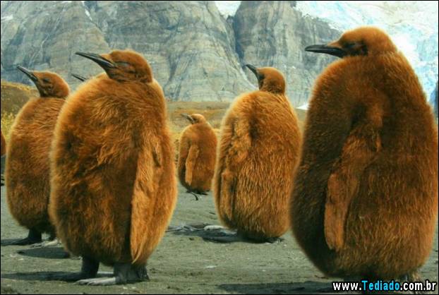 Fotos incríveis que são difíceis de acreditar (25 fotos)