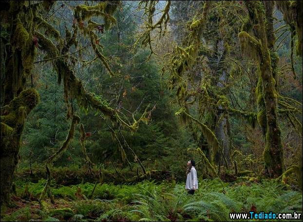 Fotos incríveis que são difíceis de acreditar (25 fotos)