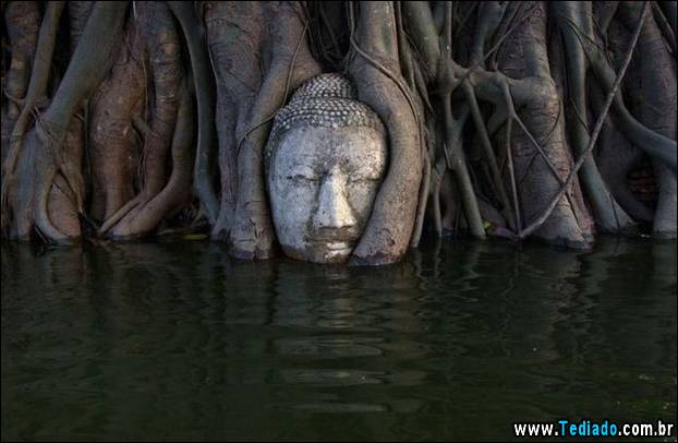 27 Fotos interessantes