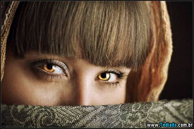 Imagens diversas #10 (29 fotos)