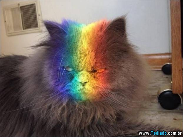 Imagens diversas #10 (29 fotos)