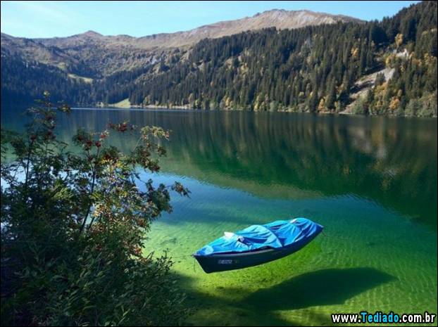 Imagens diversas #07 (37 fotos)