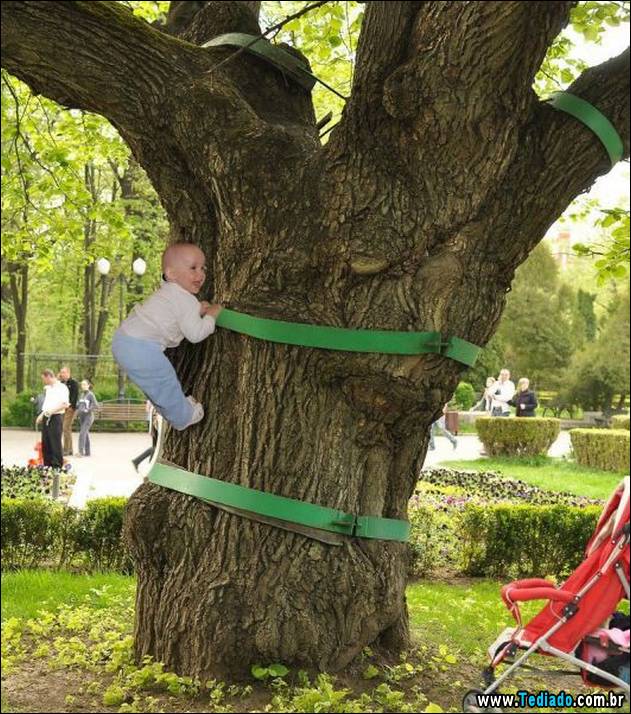 Imagens diversas #12 (42 fotos)