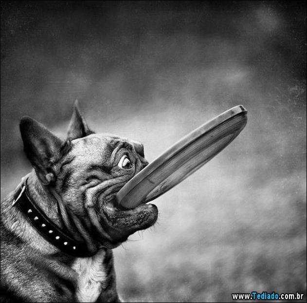 Fotos de bom humor (58 fotos)