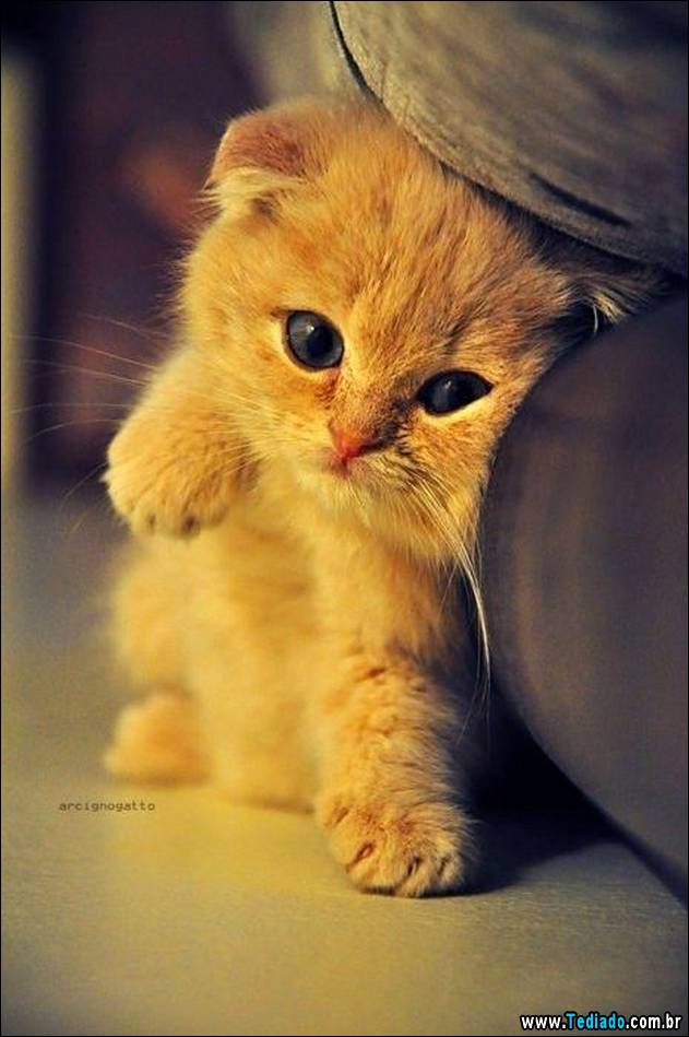 Imagens diversas #14 (33 fotos)