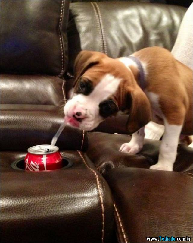 29 fotos positiva e engraçada