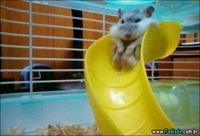 29 fotos positiva e engraçada