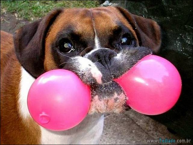 Imagens diversas #17 (40 fotos)