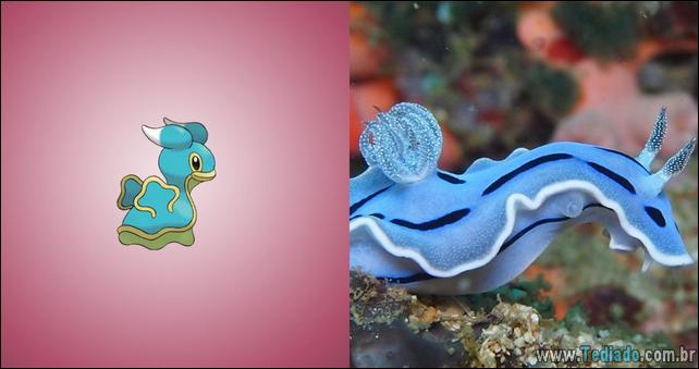 16 incríveis Pokemons que existe na vida real