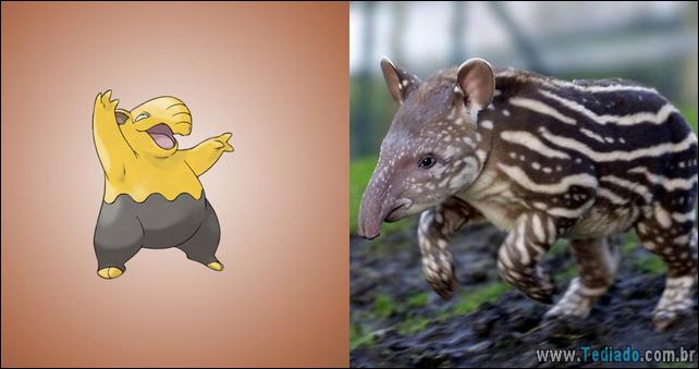 16 incríveis Pokemons que existe na vida real