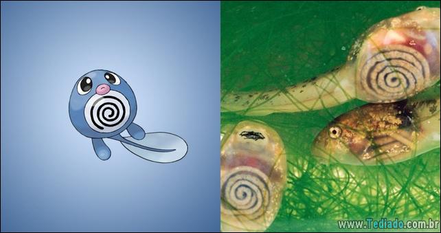 16 incríveis Pokemons que existe na vida real