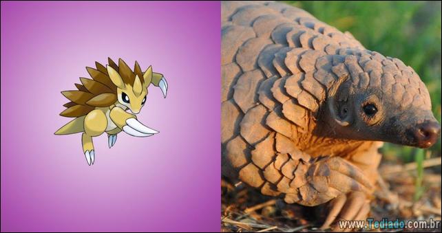 16 incríveis Pokemons que existe na vida real