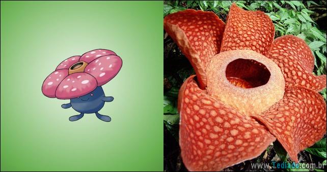 16 incríveis Pokemons que existe na vida real
