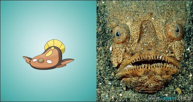 16 incríveis Pokemons que existe na vida real