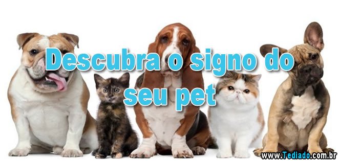 Descubra o signo do seu pet