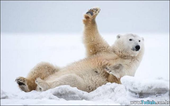 Imagens diversas #18 (37 fotos)