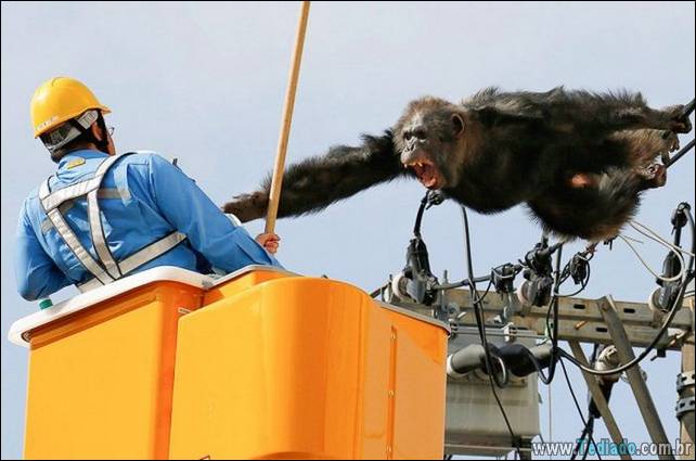 25 Fotos interessantes