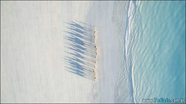 25 Fotos interessantes