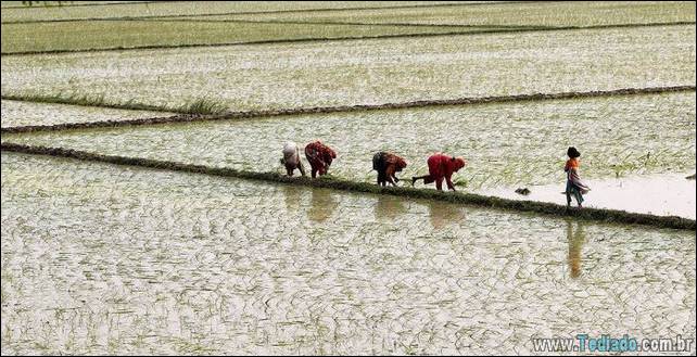 25 Fotos interessantes