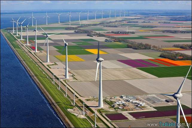 25 Fotos interessantes