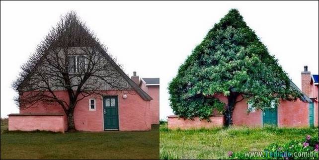 25 Fotos interessantes