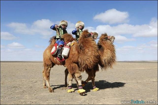 25 Fotos interessantes