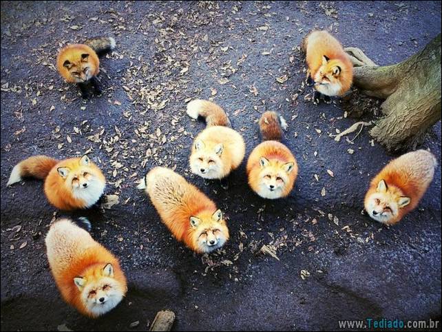 25 Fotos interessantes