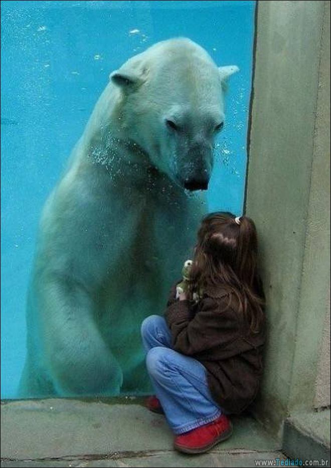 Imagens diversas #24 (28 fotos)