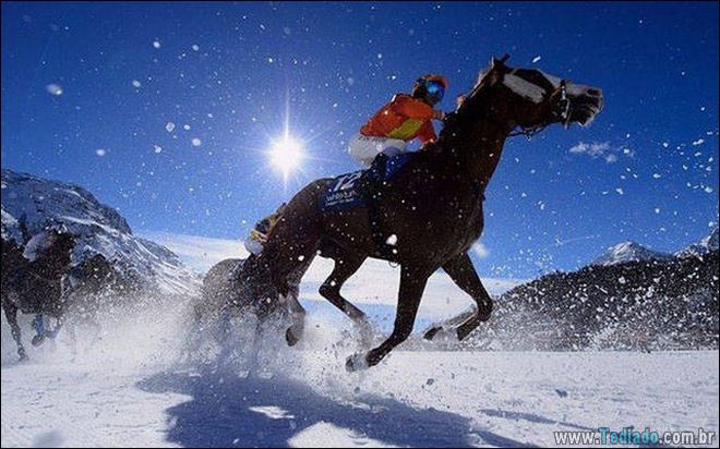 Imagens diversas #24 (28 fotos)