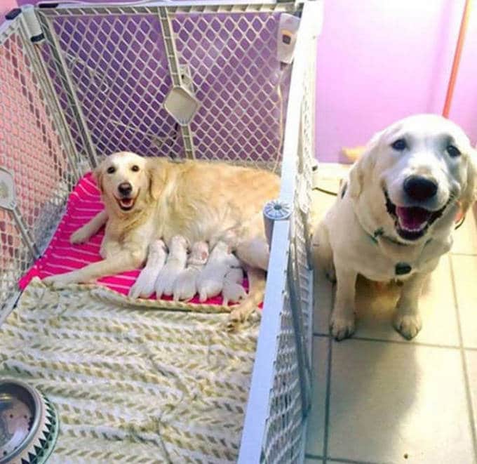 Nós nunca devemos esquecer o quão bonita é a vida (16 fotos) - Tediado Nós nunca devemos esquecer o quão bonita é a vida (16 fotos) - Tediado