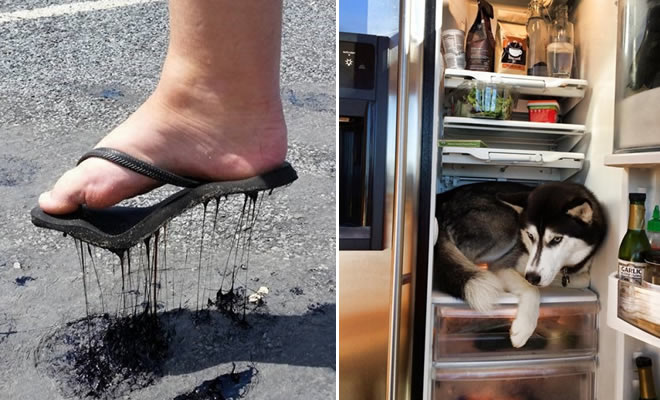 Quando o calor está demais (23 fotos) - Tediado Quando o calor está demais (23 fotos) - Tediado
