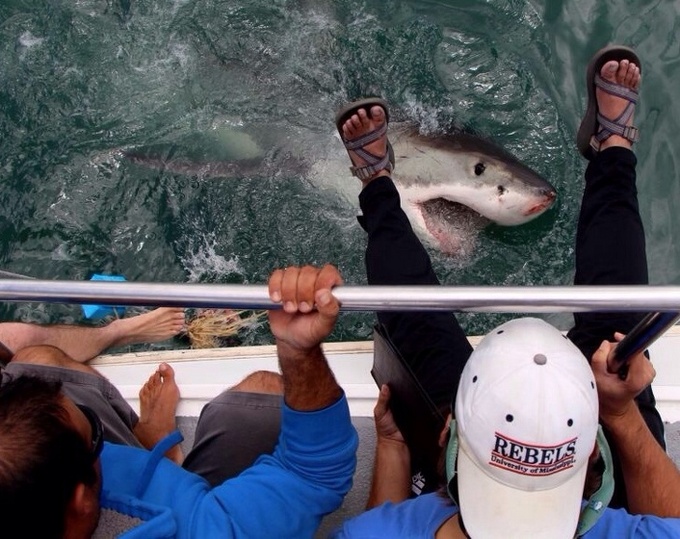 20 fotos insanas que podem fazer com que alguém saia da Internet - Tediado