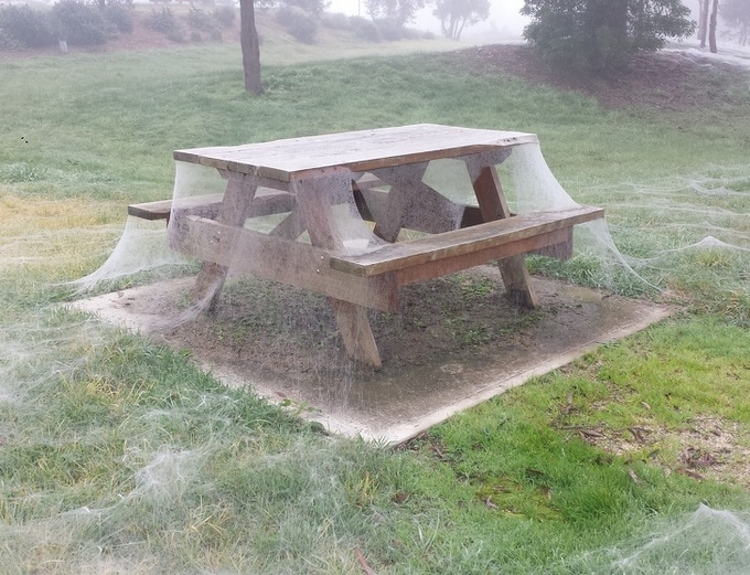 20 fotos insanas que podem fazer com que alguém saia da Internet - Tediado