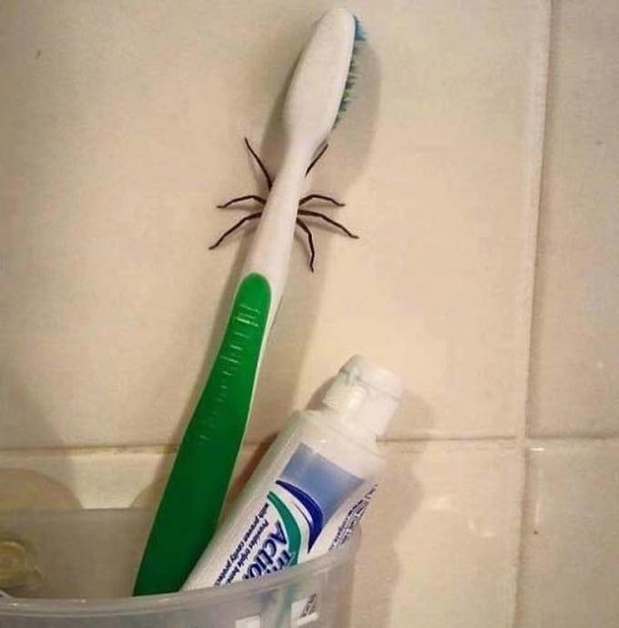 20 fotos insanas que podem fazer com que alguém saia da Internet - Tediado