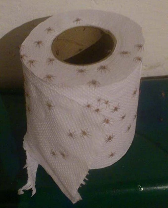 20 fotos insanas que podem fazer com que alguém saia da Internet - Tediado