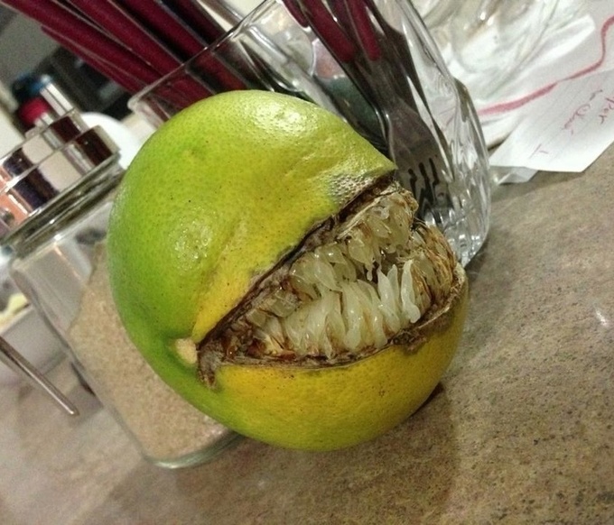 20 fotos insanas que podem fazer com que alguém saia da Internet - Tediado