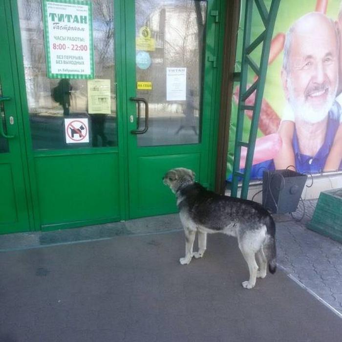 21 fotos que são a própria definição de um dia ruim - Tediado