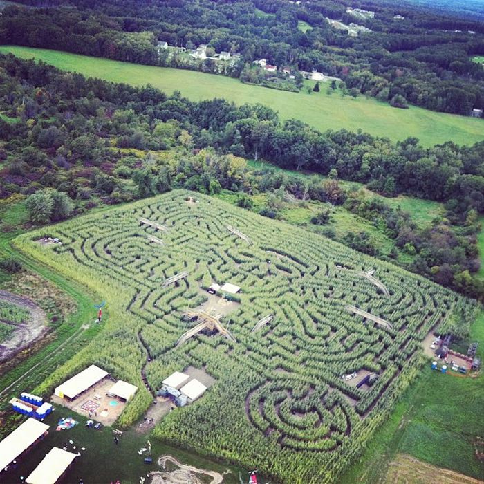 20 labirintos deslumbrantes pelo mundo - Tediado