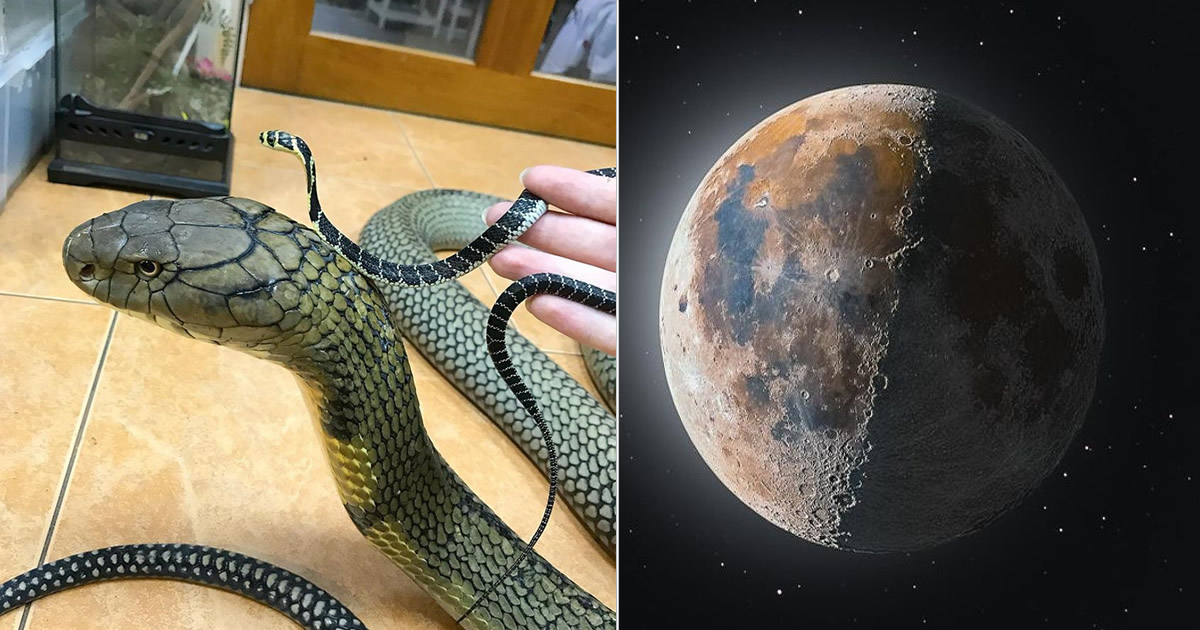 26 imagens raras que mudarão sua visão da vida - Tediado