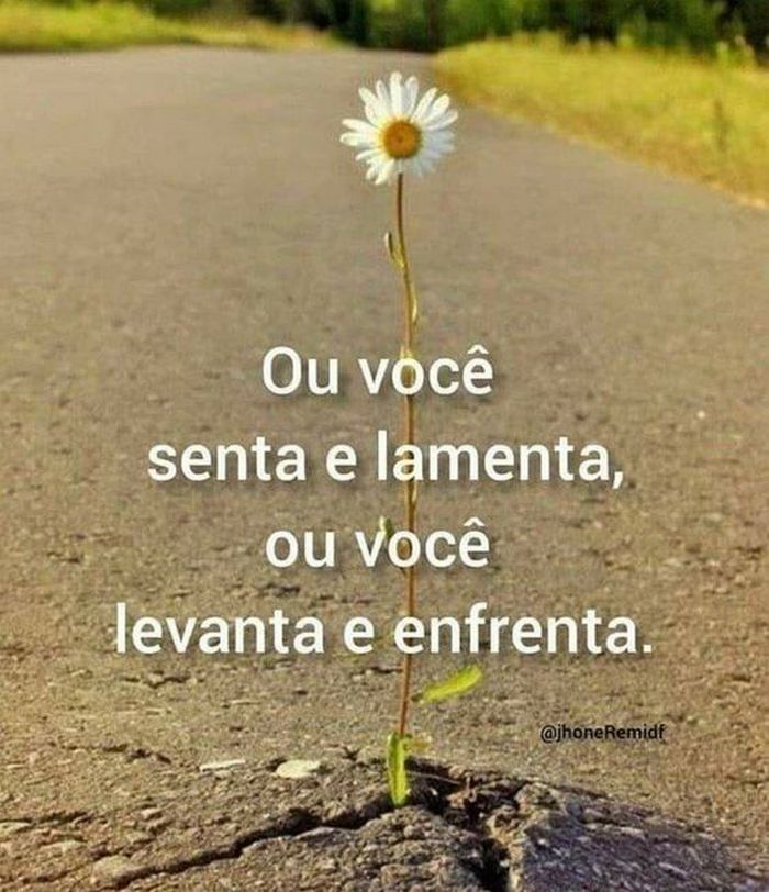 40 ideias de Frases para 2021 - Tediado