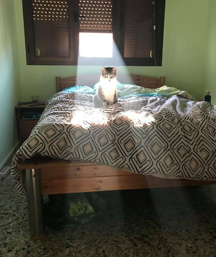 44 fotos da vida real que mais parecem cena de videogame ou de filme do ...