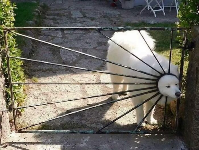 A arte oculta nas ruas: 46 fotos deslumbrantes de locais públicos - Tediado