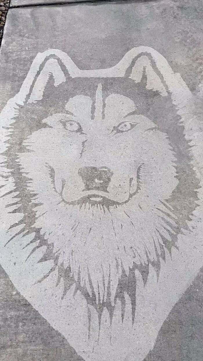 Descubra a arte inusitada de Sam Ward: Pinturas na calçada com lavadora ...