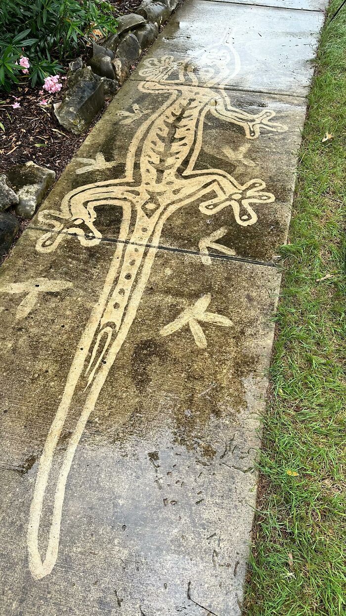 Descubra a arte inusitada de Sam Ward: Pinturas na calçada com lavadora ...