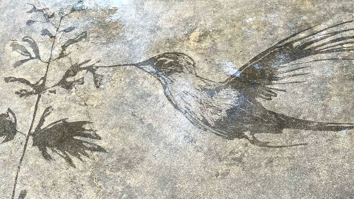 Descubra a arte inusitada de Sam Ward: Pinturas na calçada com lavadora ...