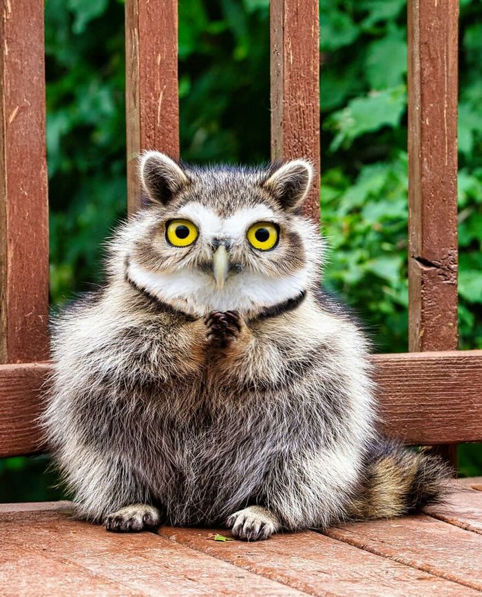 O artista por trás de Pixelmated Animals: Transformando tédio em ...